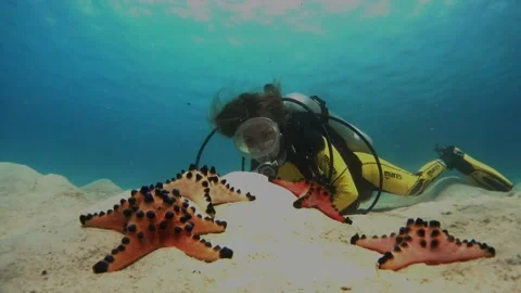 Female X Star Stock Videos – Royalty-Free HD & 4K Videos | Page 4