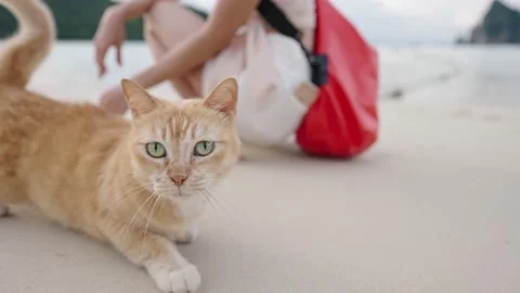 Down Touch Fun Stock Videos – Royalty-Free HD & 4K Videos