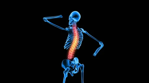 Skeleton Anatomy Female Stock Videos – Royalty-Free HD & 4K Videos | Page 4