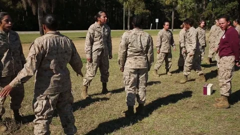 Female Soldiers Training Stock Videos – Royalty-Free HD & 4K Videos