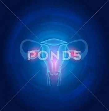 Female uterus abstract blue technology background ~ Clip Art #47646687