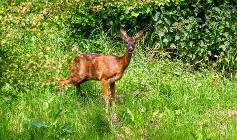 Stock Photos by Info84728 | Official Pond5 Storefront