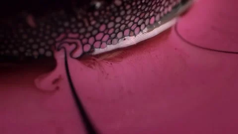 Aano Dance Stock Videos – Royalty-Free HD & 4K Videos