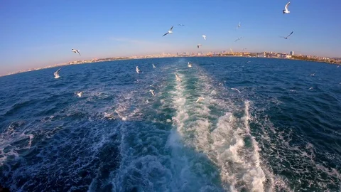 Ferry birds waves blue sky water sea | Stock Video | Pond5