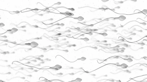Egg Fertilization Stock Video Footage | Royalty Free Egg Fertilization ...