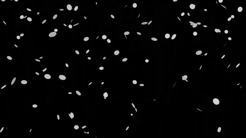 Festive white confetti falling. Transpar... | Stock Video | Pond5