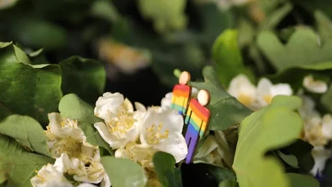 Festive wreath of jasmine, oak and tree ... | Stock Video | Pond5