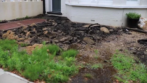 Messy Yard Stock Videos – Royalty-Free HD & 4K Videos