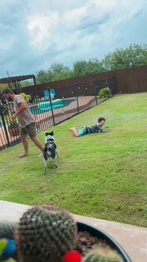 Tripped Fell Stock Videos – Royalty-Free HD & 4K Videos | Pond5