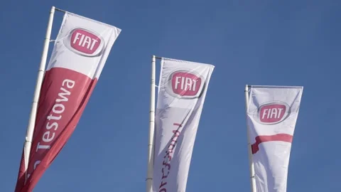 Flags Compan Stock Videos – Royalty-Free HD & 4K Videos | Pond5