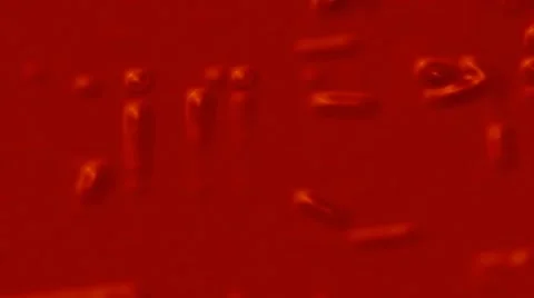 Fictional Blood Cell Animation | Stock Video | Pond5