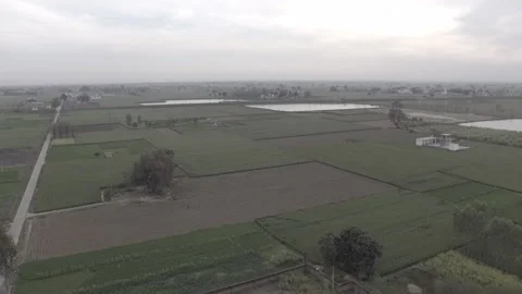 Punjab Field Stock Footage ~ Royalty Free Stock Videos | Pond5