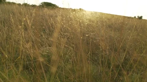 Fart Motion Stock Video Footage | Royalty Free Fart Motion Videos | Pond5