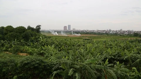 Fields fumigation with smoke, Traditiona... | Stock Video | Pond5