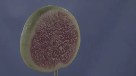 Fig rotating with loop on blue screen fo... | Stock Video | Pond5