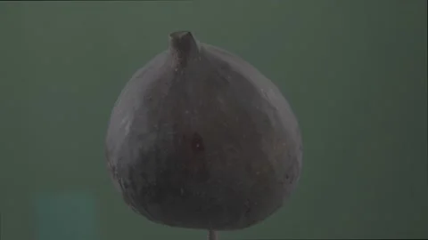 Fig rotating with loop on green screen f... | Stock Video | Pond5