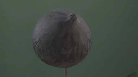 Fig rotating with loop on green screen f... | Stock Video | Pond5