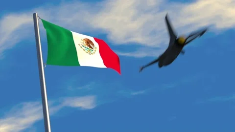 Mexican Fighter Stock Videos – Royalty-Free HD & 4K Videos | Pond5