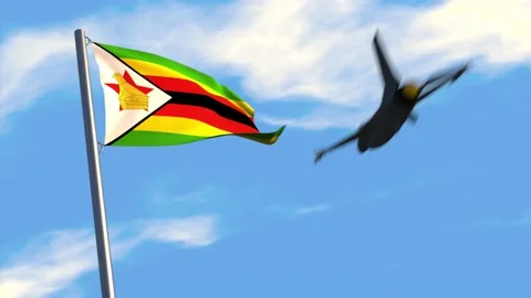Fighter jet flies past Zimbabwean flag | Stock Video | Pond5