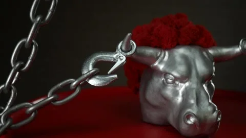 Bull Head Decoration Stock Videos – Royalty-Free HD & 4K Videos