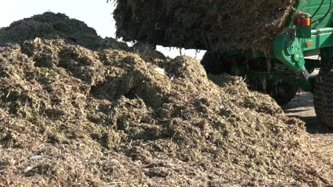 Fill of the silage trench of corn silage... | Stock Video | Pond5