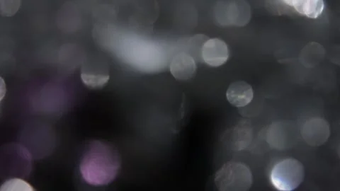 Film Full Animated Stock Videos – Royalty-Free HD & 4K Videos