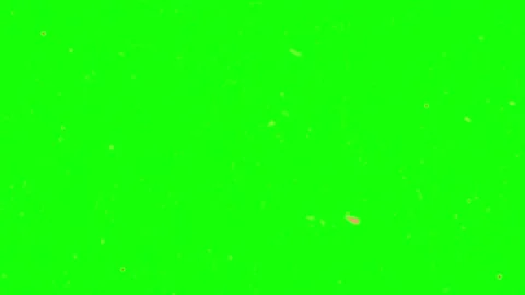 Green Screen Overlays Stock Videos – Royalty-Free HD & 4K Videos | Pond5