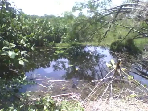 Another You Film Stock Videos – Royalty-Free HD & 4K Videos | Pond5