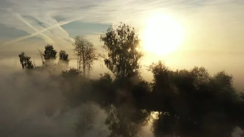 filming fog flying through the trees on ... | Stock Video | Pond5