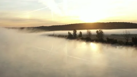 filming fog flying through the trees on ... | Stock Video | Pond5