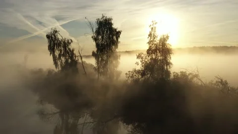 filming fog flying through the trees on ... | Stock Video | Pond5
