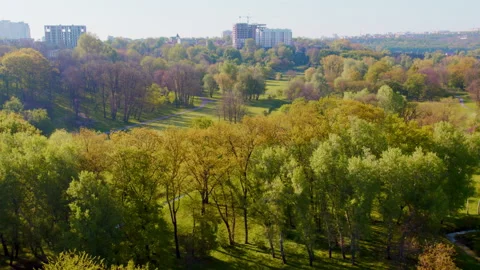 Filming full of warm light and green col... | Stock Video | Pond5