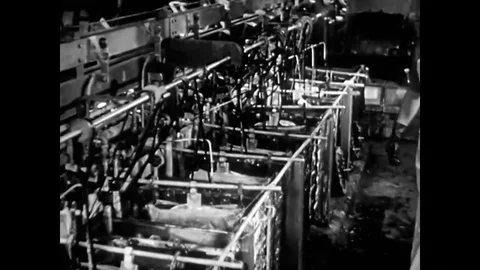 Record This Master Stock Videos – Royalty-Free HD & 4K Videos | Pond5