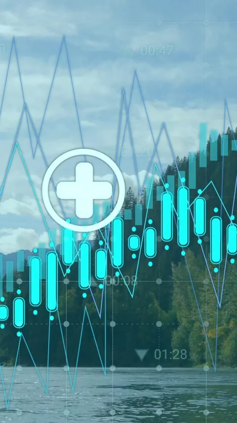 Forest Monitoring Stock Videos – Royalty-Free HD & 4K Videos