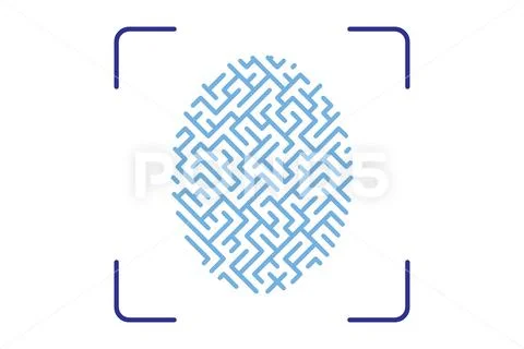 Fingerprint maze with cells. Fingerprint bio metric identification ...