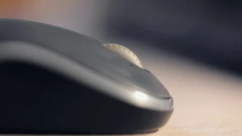 Mouse Turn Stock Videos – Royalty-Free HD & 4K Videos | Pond5