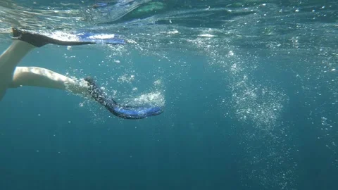 Fins and bubbles in the water, snorkelin... | Stock Video | Pond5