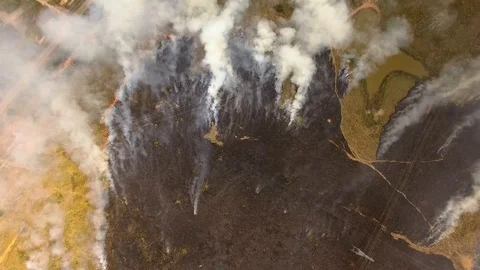 Amazon Fire Stock Video Footage | Royalty Free Amazon Fire Videos | Pond5