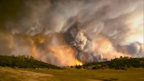 Fire and smoke in the forest. Climate ch... | Stock Video | Pond5