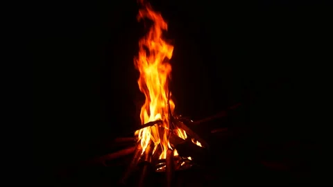 fire background | Stock Video | Pond5
