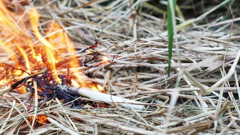 Hay Fire Stock Video Footage | Royalty Free Hay Fire Videos | Pond5