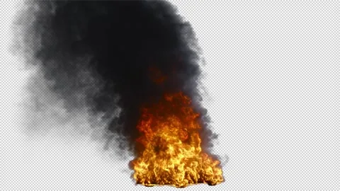 Fire burning on transparent background | Stock Video | Pond5
