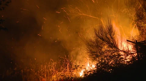 Bushfire Stock Footage ~ Royalty Free Stock Videos | Pond5