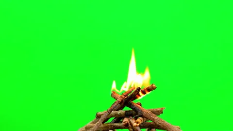 Fire camping and flame burn glowing on g... | Stock Video | Pond5