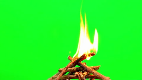 Fire camping and flame burn glowing on g... | Stock Video | Pond5