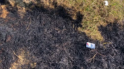 fire from cigarette burnt grain crops in... | Stock Video | Pond5
