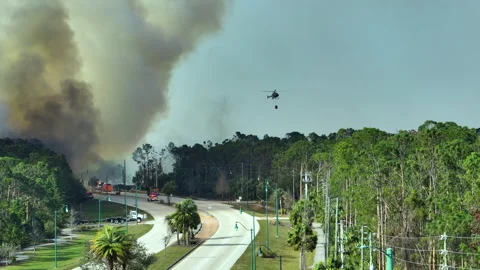 Fire department chopper and firetrucks e... | Stock Video | Pond5