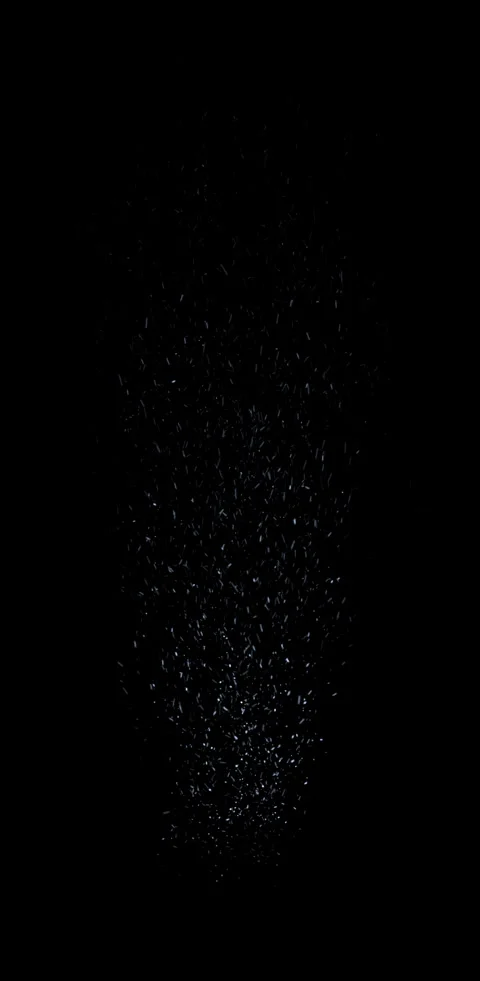 Fire embers on alpha background - vertic... | Stock Video | Pond5