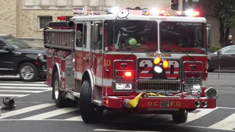 Roto Stock Videos – Royalty-Free HD & 4K Videos