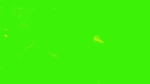 Spark Explosion Fire Green Screen Stock Footage ~ Royalty Free Stock ...